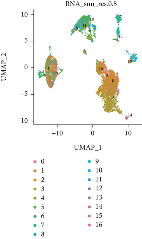 Identification Of Cell Subgroups And Expression Of Marker Genes From