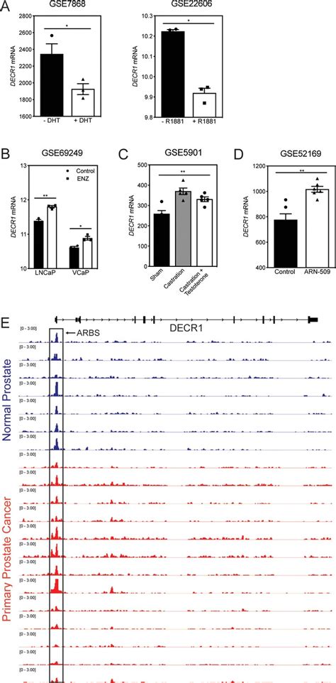 Figures And Data In Human Decr1 Is An Androgen Repressed Survival Factor That Regulates Pufa