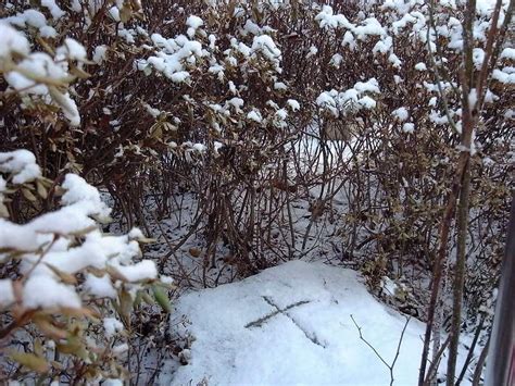 거짓의 영 사탄마귀