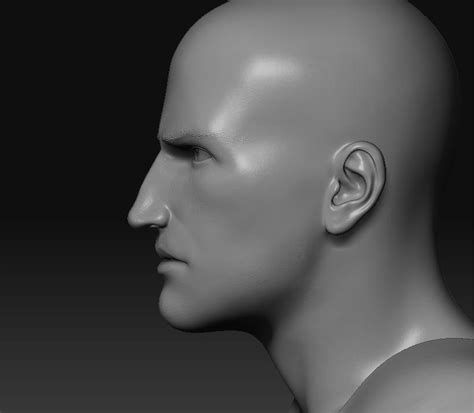 Assassin Creed Style Zbrushcentral Assassin Creed Style Zbrushcentral