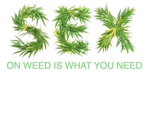 Sex On Weed Sexrepository69 Sex On Weed Sexrepository69