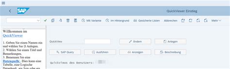 Sap Quickviewer Grundlagen Und Vorteile