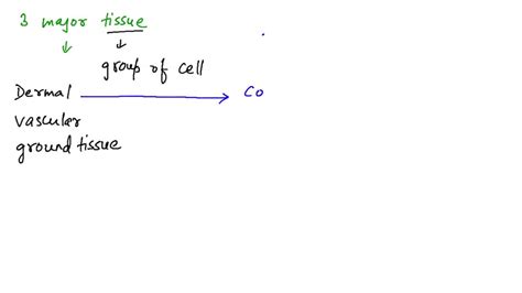 SOLVED Name Four Different Types Of Leaf Attachment