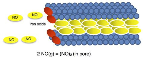 Enhanced No Dimerization Model For Iron Oxidemodified Entrance Of A Download Scientific Diagram