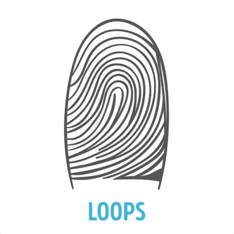 Ulnar Loop Fingerprint