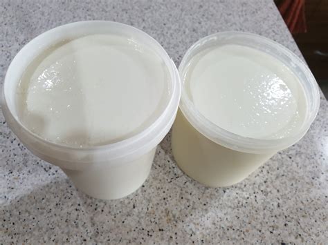 Как да Заквасим Домашно Кисело Мляко Полезни Храни