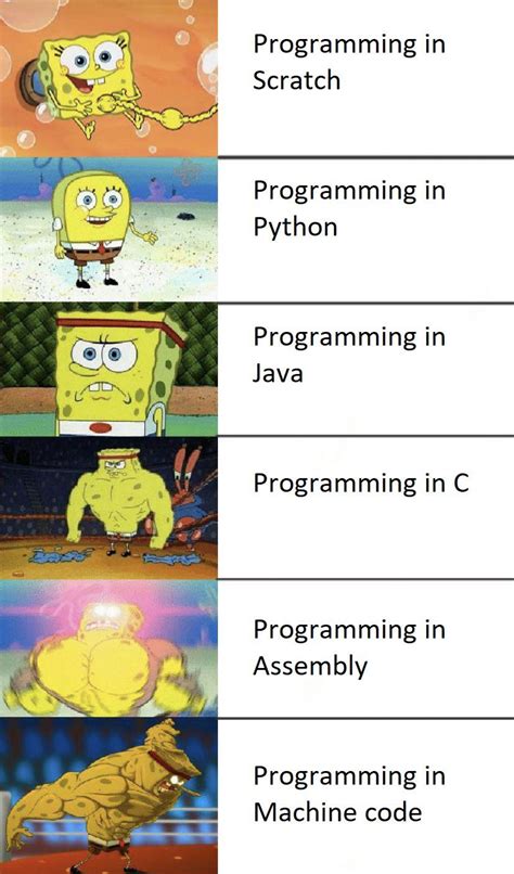 The Language Hierarchy In Terms Of Difficulty R Programmerhumor