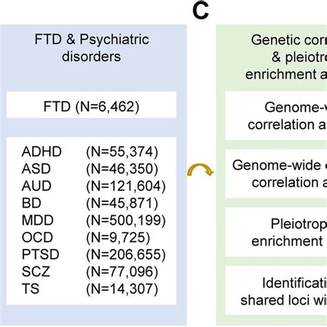 Forest Plot Showing Results From The Mendelian Randomization Analysis Download Scientific