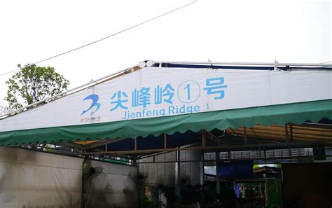 2023火车头万人海鲜广场美食餐厅设有海鲜平价超市、游客自【去哪儿攻略】