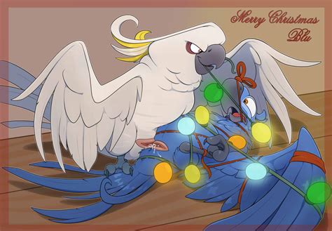 Rule 34 Ambiguous Gender Anatomically Correct Animal Genitalia Avian