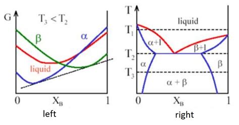 Solved From The Figure Below In The Equilibrium Phase Chegg Com