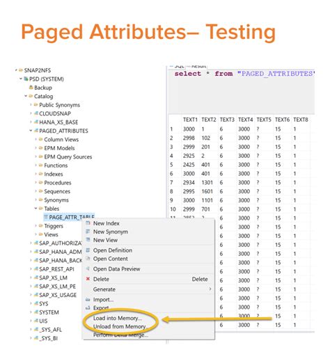 Sap Hana Column Tables Paged Attributes On Flasharrayx