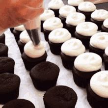 Cupcakes Dessert  Cupcakes Dessert Cupcake Discover And Share S