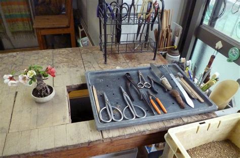 植え替え一休み 小品盆栽てのり樹工房