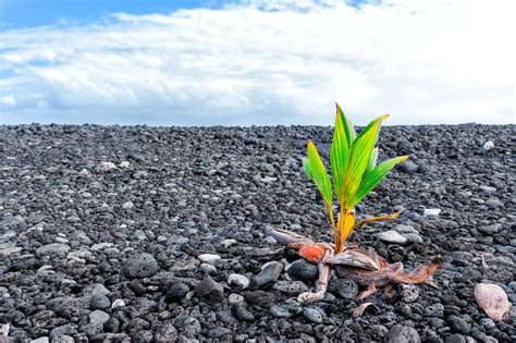 Singapore Consulting For Scalability And Resilience Theco Sg