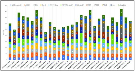 The Distribution Of Cis Acting Elements Of Gmrwp Rk Genes In Soybean Download Scientific