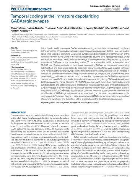 Pdf Temporal Coding At The Immature Depolarizing Gabaergic Synapse