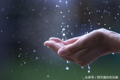 一滴雨滴一片白雲一生奉獻 每日頭條