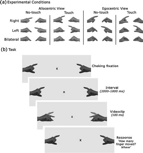 Experimental Procedure A Experimental Conditions Of The Visual Download Scientific Diagram