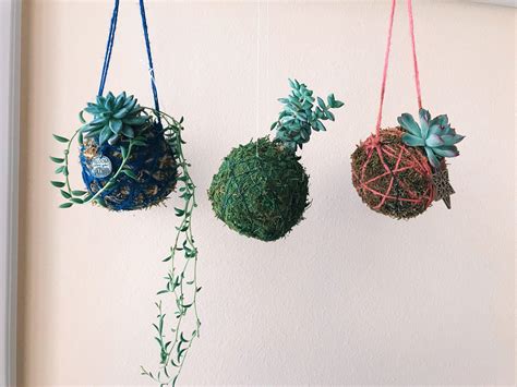 String Gardens A Great Way To Fit An Indoor Garden Into The Smallest Of Spaces Architectural
