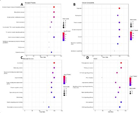 Go Functional And Kegg Pathway Analyses Of Demirna A Top 10