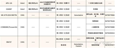 抗癌直通车 P53与dna损伤的纠缠不休——陶术化合物库 知乎