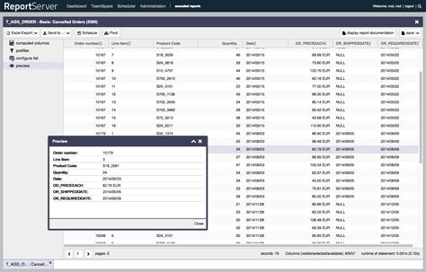 Server Report E Power Bi Monitoring Health Check Format Downtime Sql