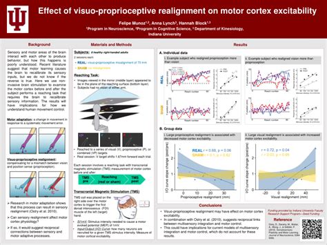 Pdf Effect Of Visuo Proprioceptive Realignment On Motor Cortex Excitability