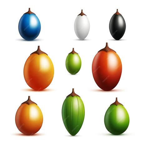 Premium Vector Pod Vector Set White Background Isolated A High