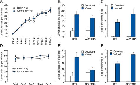 A Thalamocortical Circuit For Updating Action Outcome Associations Elife