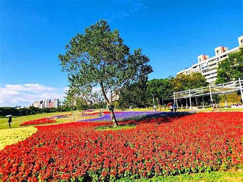 台北古亭河濱公園：台版富良野絕美花海，搭捷運就能到！紀州庵與公館商圈必吃美食一日遊 輕旅行