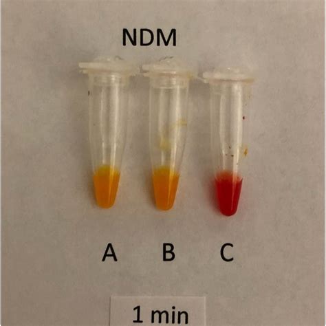 Cpo Detection And Classification Test Results Download Scientific Diagram