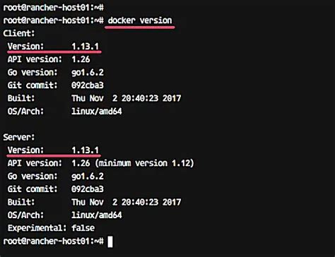 How To Manage Docker Containers With Rancher On Ubuntu مدیریت منیج