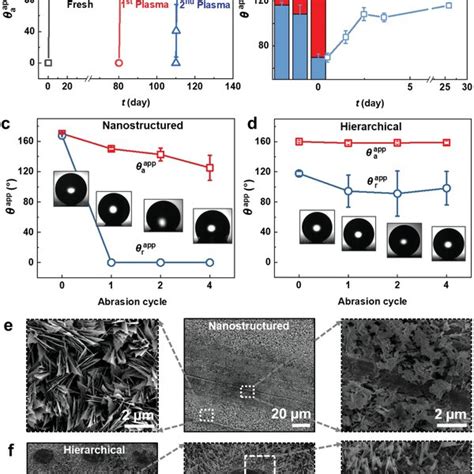 Self‐healing Of The Hierarchical Cuo Nanowire Surface After A Air Download Scientific Diagram