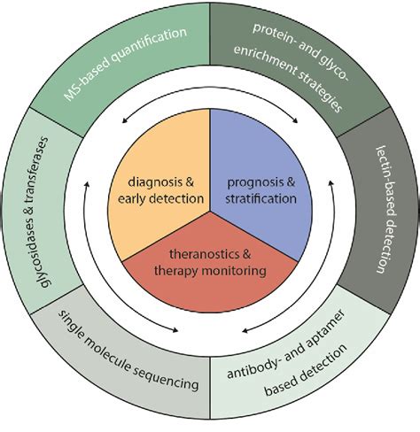 figure 1 from the role of clinical glyco proteo mics in precision