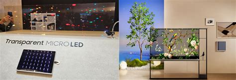 [ces 2024] 삼성·lg 같은 투명이지만 다르다 더구루