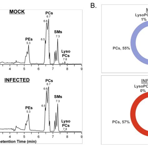 Lipid Identification From The Positive Ionization Mode Data Set For