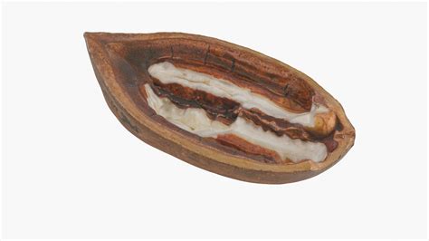 3d Pecan Nut Shell Open 04 Turbosquid 2028307