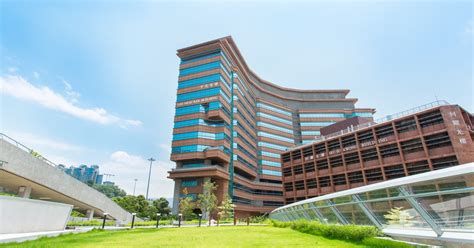 Over 200 Polyu Scholars Ranked Among Worlds Top 2 Most Cited Scientists The Hong Kong