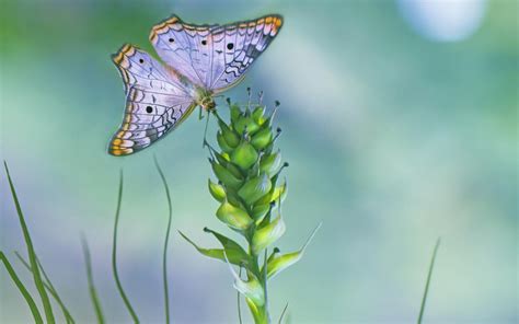 Opencv中图像的读取，显示与保存 腾讯云开发者社区 腾讯云