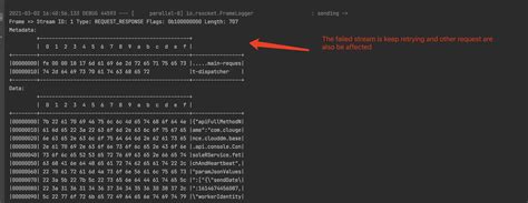Spring Rsocket Client Send Unexpected Data Whose Payload Is Wrong When During Connecting And