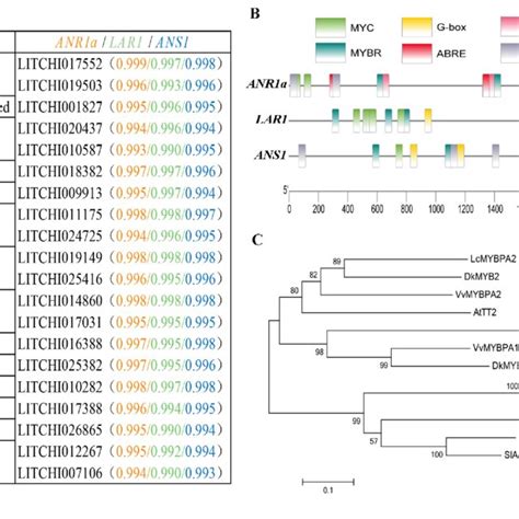 A The Top 20 Transcription Factors Tfs Showing High Correlation
