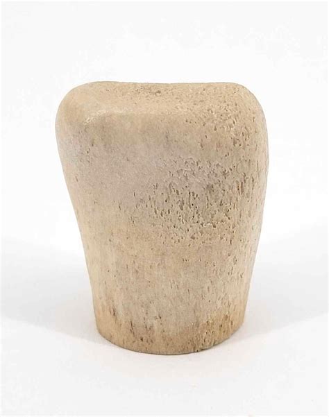 Smilodon Fatalis Vertebra Fossil And Bone 4648011895