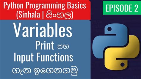 Python Basics සිංහල Ep2 Variables Print සහ Input Functions ගැන ඉගෙනගමු Youtube