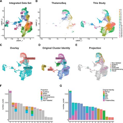 Figures And Data In Molecular And Spatial Profiling Of The Paraventricular Nucleus Of The