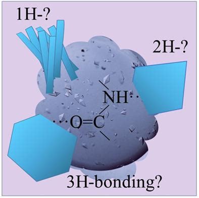 Polymer Crystallization X Mol