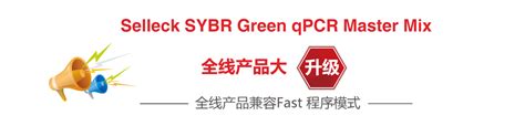 2x Sybr Green Qpcr Master Mix Low Rox Selleck生物试剂
