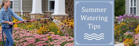 Summer Watering Tips Sugar Creek Gardens