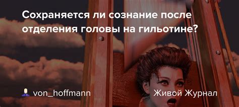 Сохраняется ли сознание после отделения головы на гильотине Useless