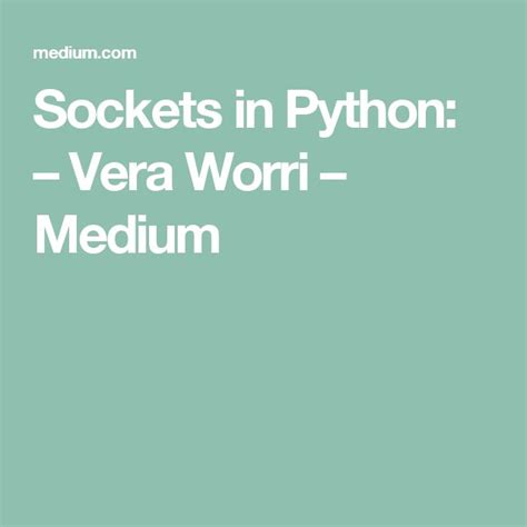 Sockets In Python Vera Worri Beginners Guide